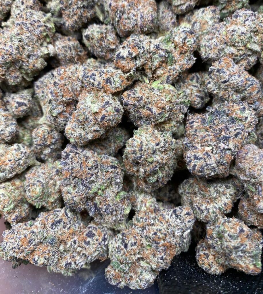 #1 Buy Nutter Butter Strain - Professor Sift
